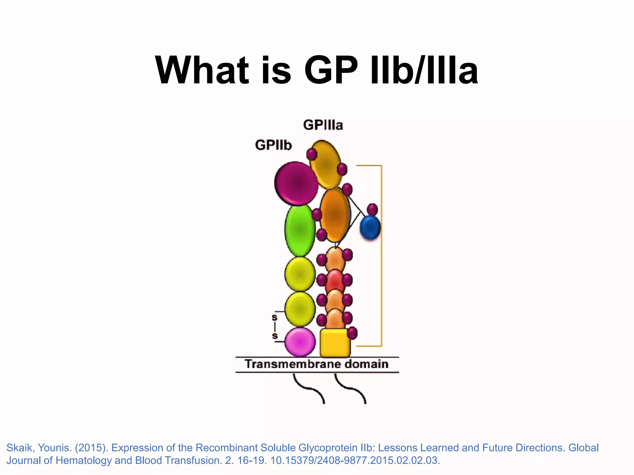 Glycoprotein IIb/IIa inhibitors | PPTX