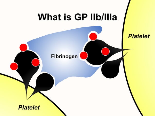 Glycoprotein IIb/IIa inhibitors | PPT