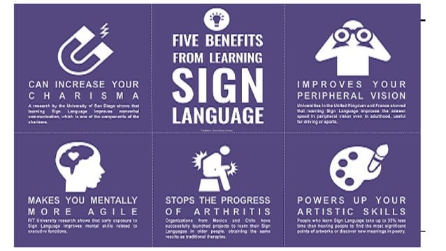 SING LANGUAGE AND BRAILLE background information, examples, graphics | PPT