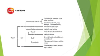 PORTER'S 5 FORCES MODEL & VALUE CHAIN | PPTX