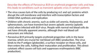 Group presentation for microbiology ppt | PPTX