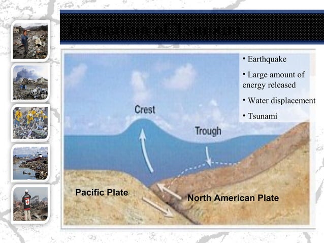 2011 Tōhoku Earthquake and Tsunami in Japan | PPT