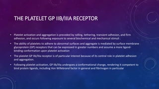 Gp2b3a | PPT