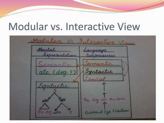 Comprehension theory | PPT