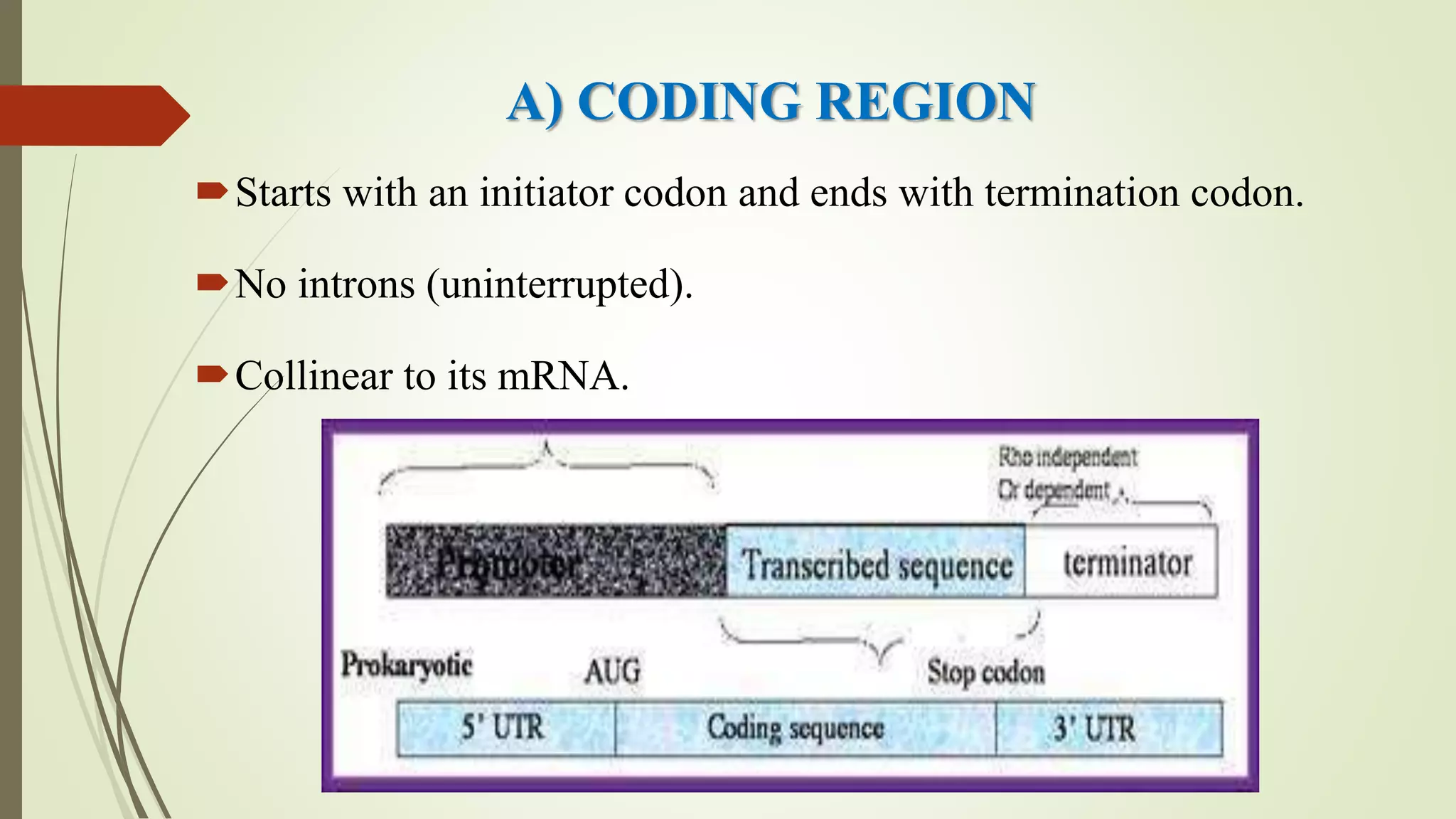 Ultra fine structure of gene | PPTX