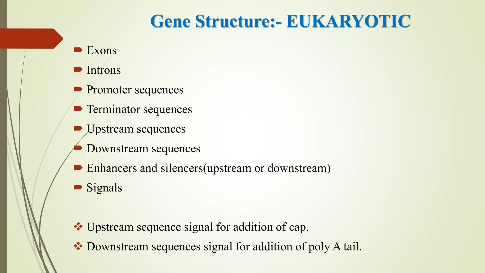 Ultra fine structure of gene | PPTX
