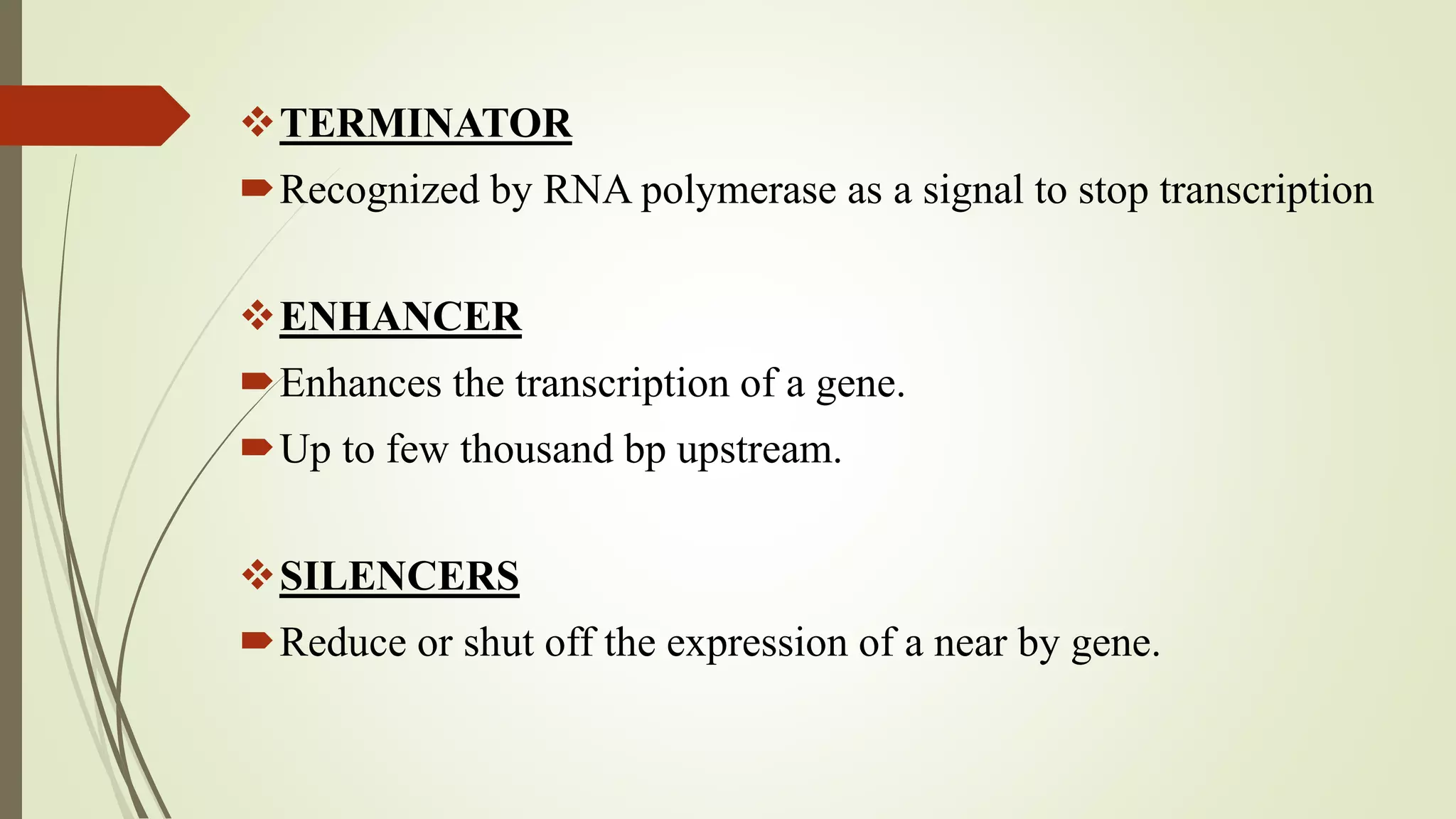 Ultra fine structure of gene | PPTX