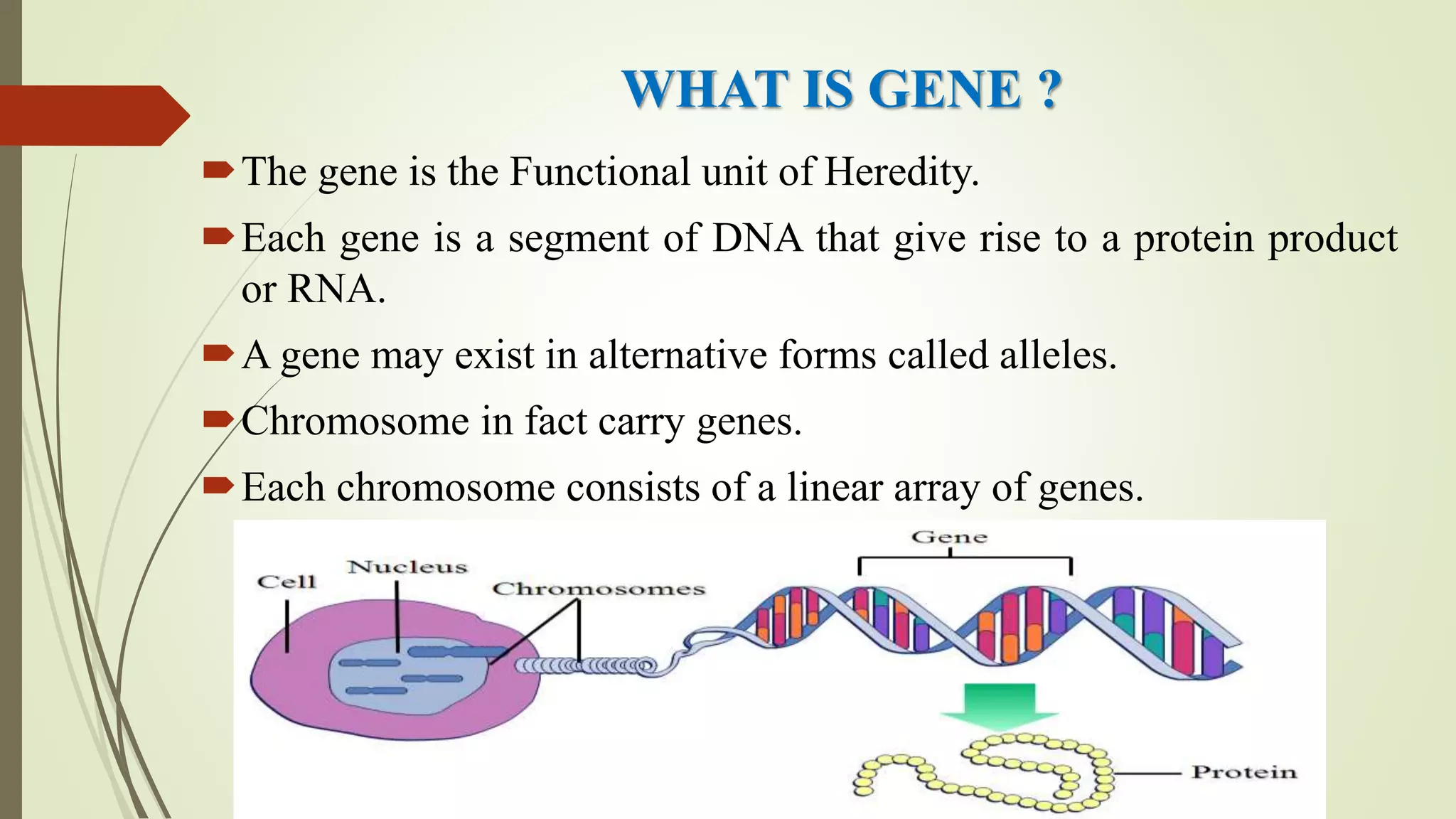 Ultra fine structure of gene | PPTX