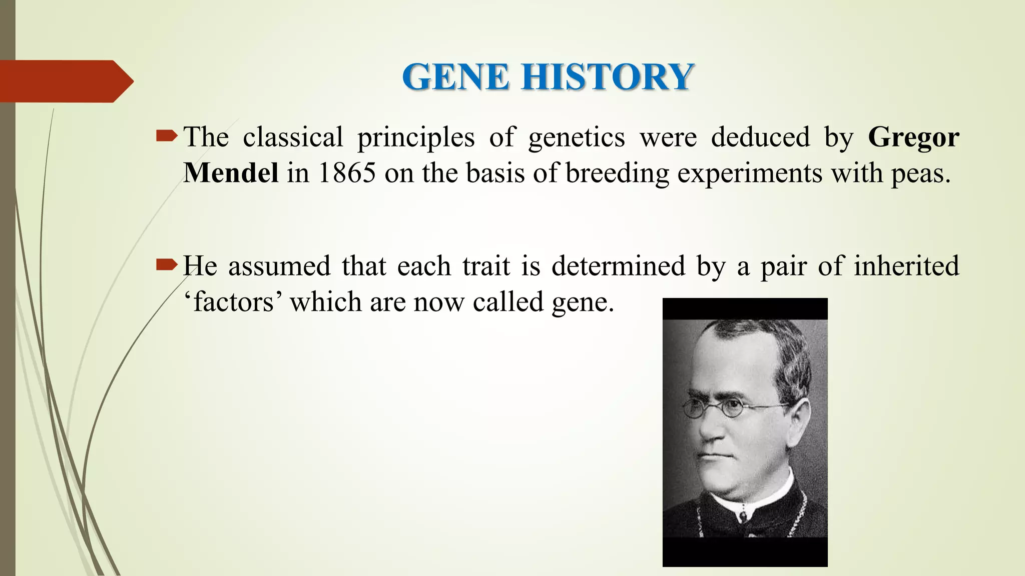 Ultra fine structure of gene | PPT