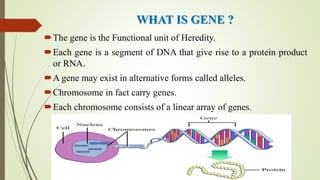 Ultra fine structure of gene | PPTX
