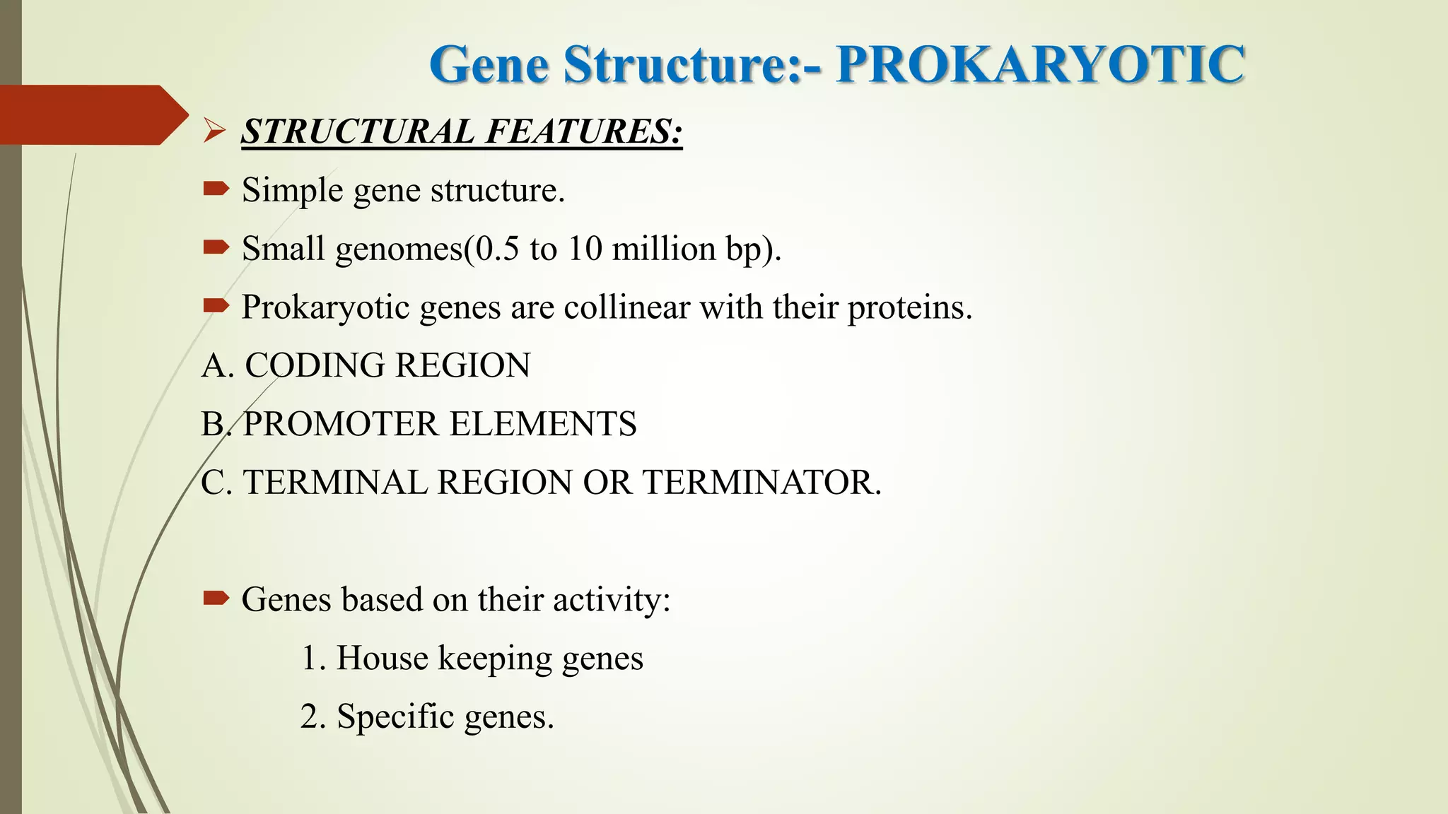 ULTRAFINE STRUCTURE OF A GENE | PPTX