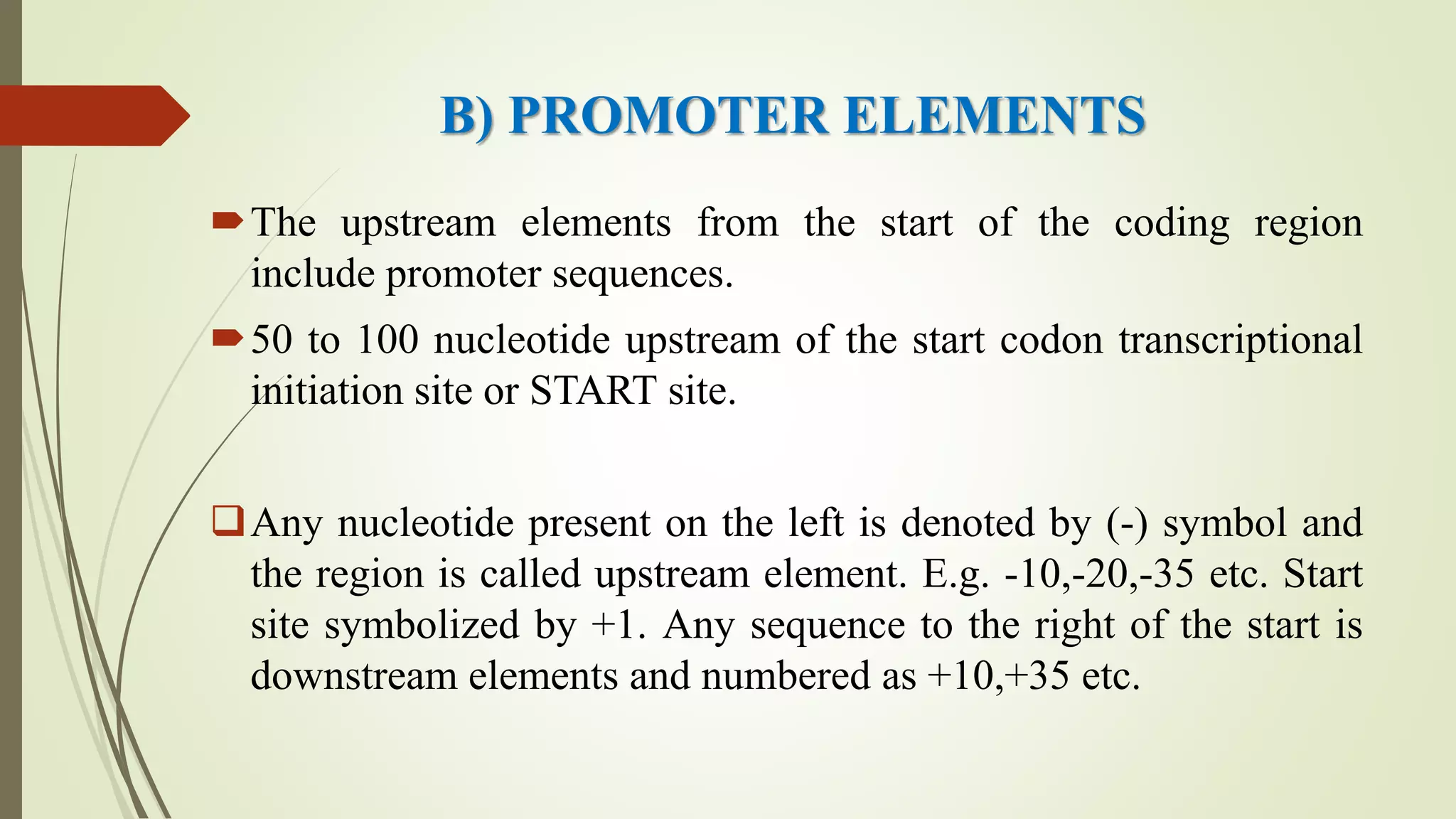 ULTRAFINE STRUCTURE OF A GENE | PPTX