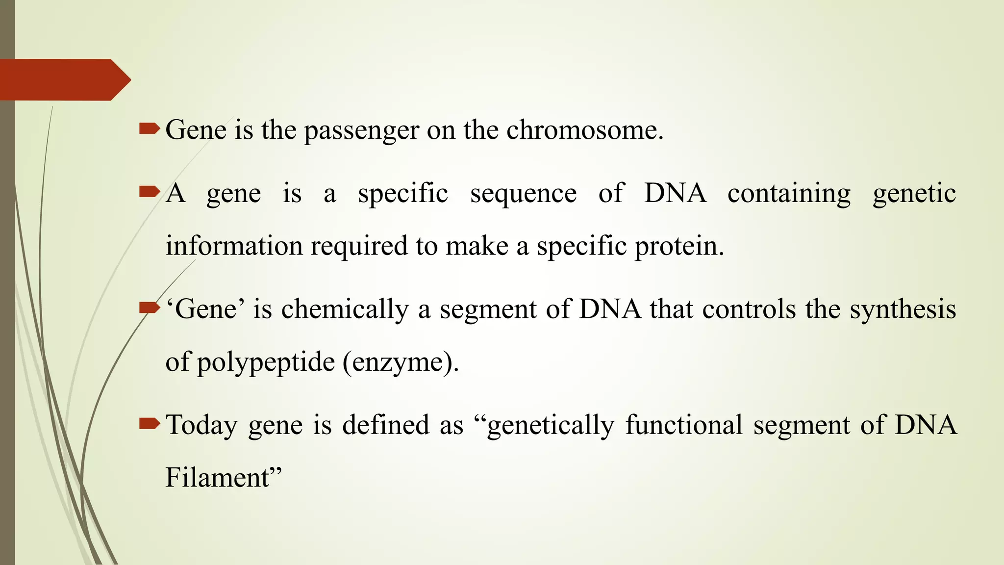 ULTRAFINE STRUCTURE OF A GENE | PPTX