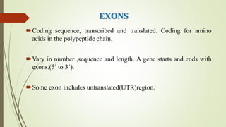 ULTRAFINE STRUCTURE OF A GENE | PPTX