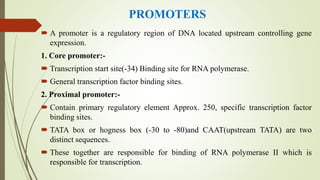 ULTRAFINE STRUCTURE OF A GENE | PPTX