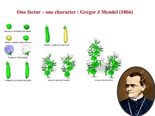 Gp501 fundamentals of genetics and evolution of gene concept 1.pptx
