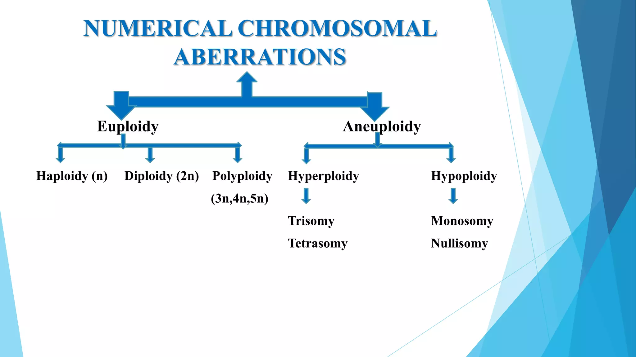 Chromosomal aberrations, utilization of aneuploids, chimeras and role ...
