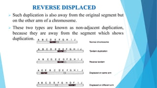 Chromosomal aberrations, utilization of aneuploids, chimeras and role ...