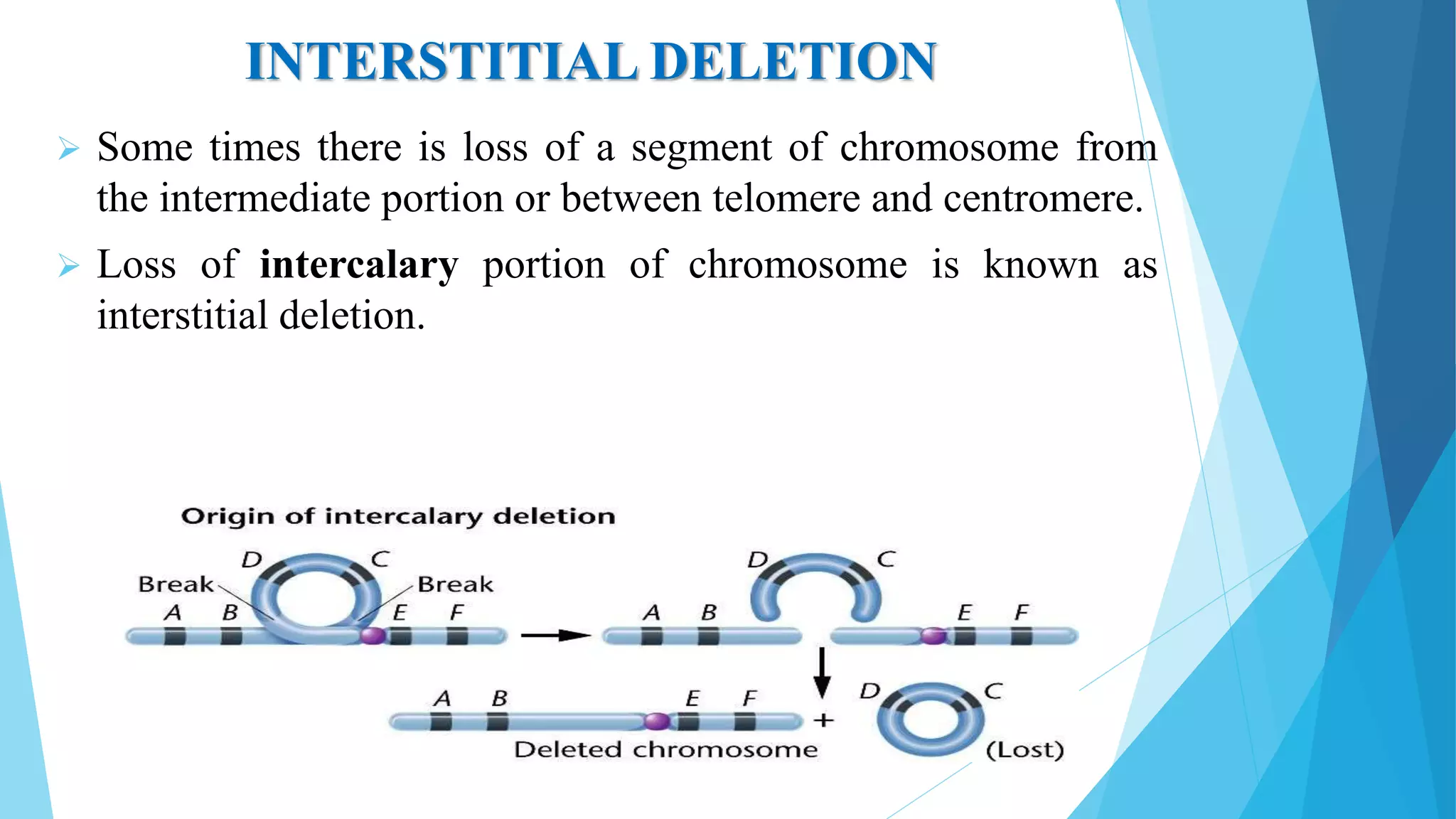 CHROMOSOME and CHROMOSOMAL ABERRATIONS | PPTX