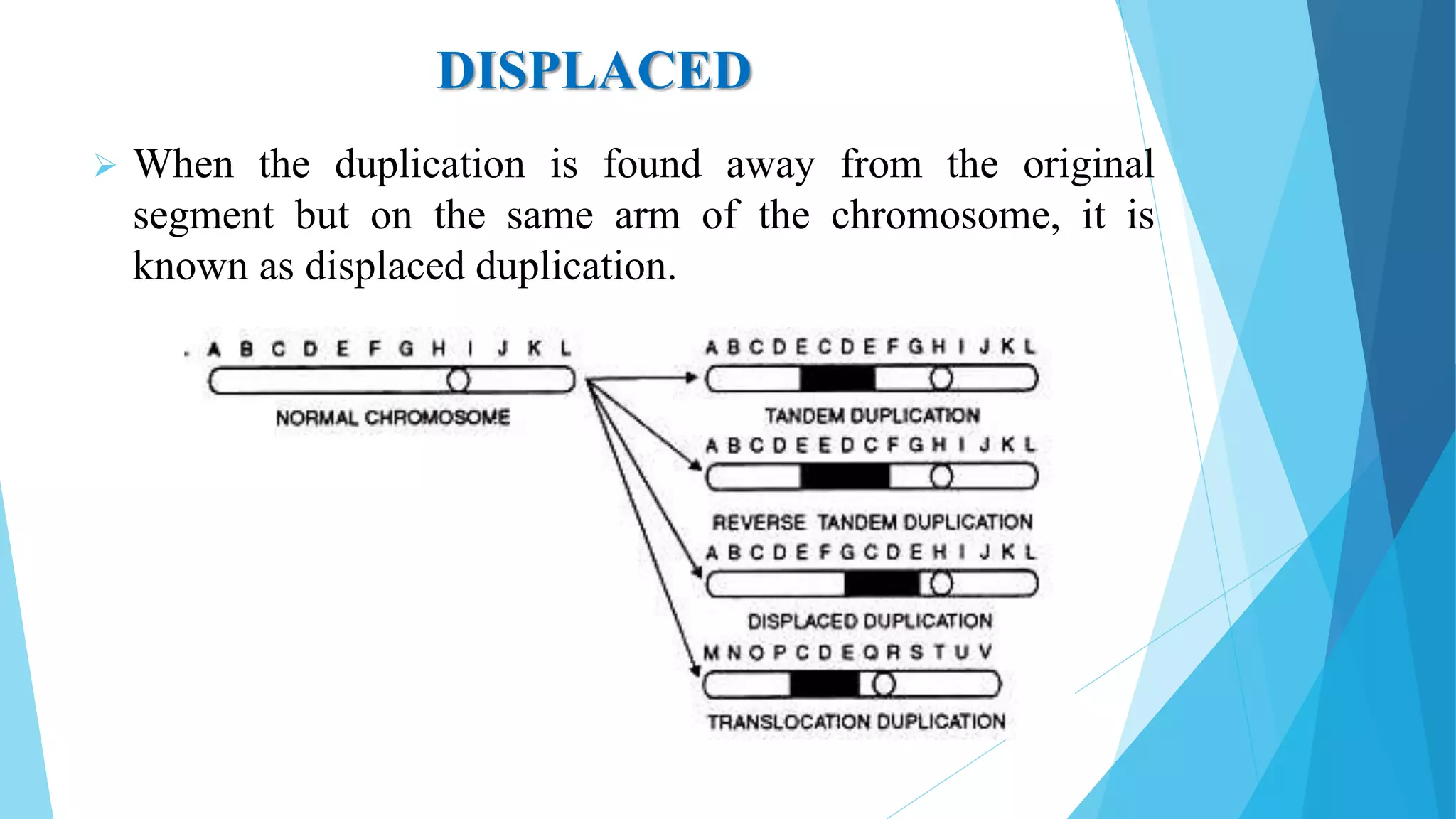 CHROMOSOME and CHROMOSOMAL ABERRATIONS | PPTX