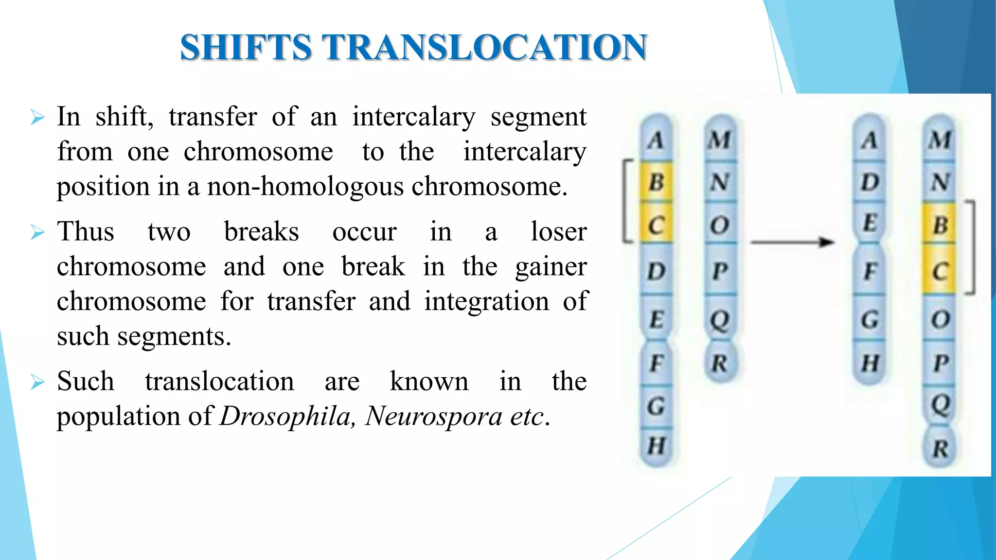 CHROMOSOME and CHROMOSOMAL ABERRATIONS | PPTX