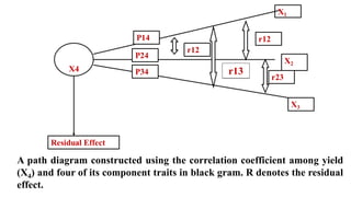 Concepts of Correlation and Path Analysis | PPTX