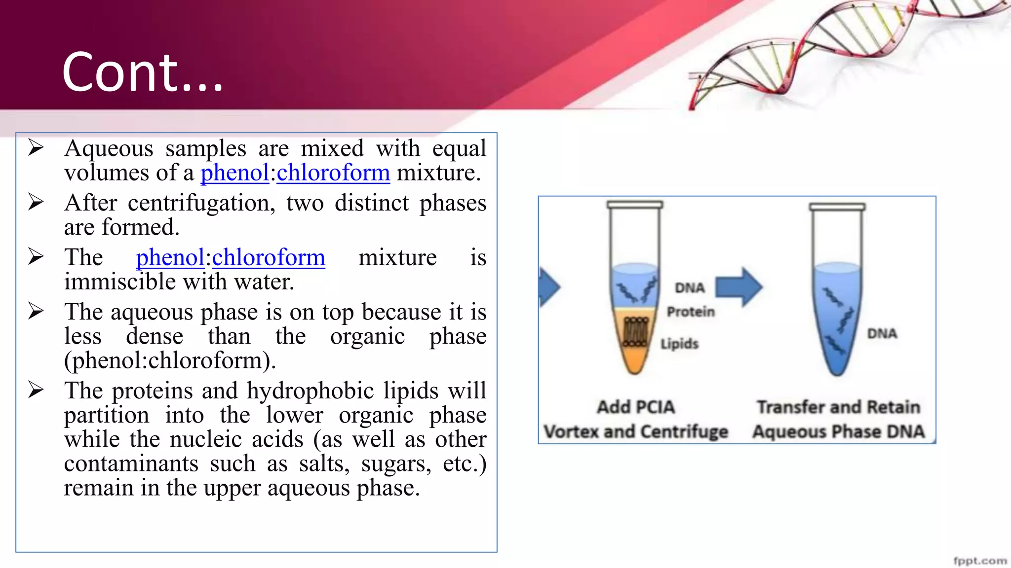 Techniques of DNA Extraction, Purification and Quantification | PPTX