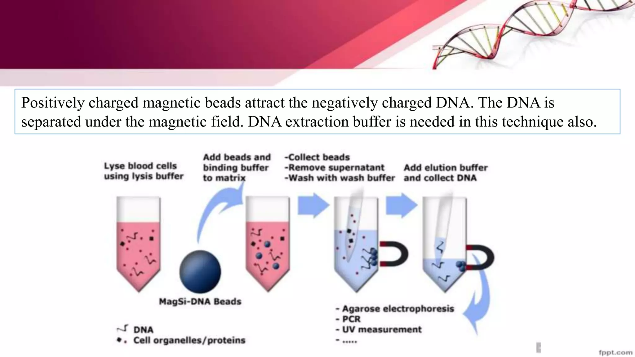 Techniques of DNA Extraction, Purification and Quantification | PPTX