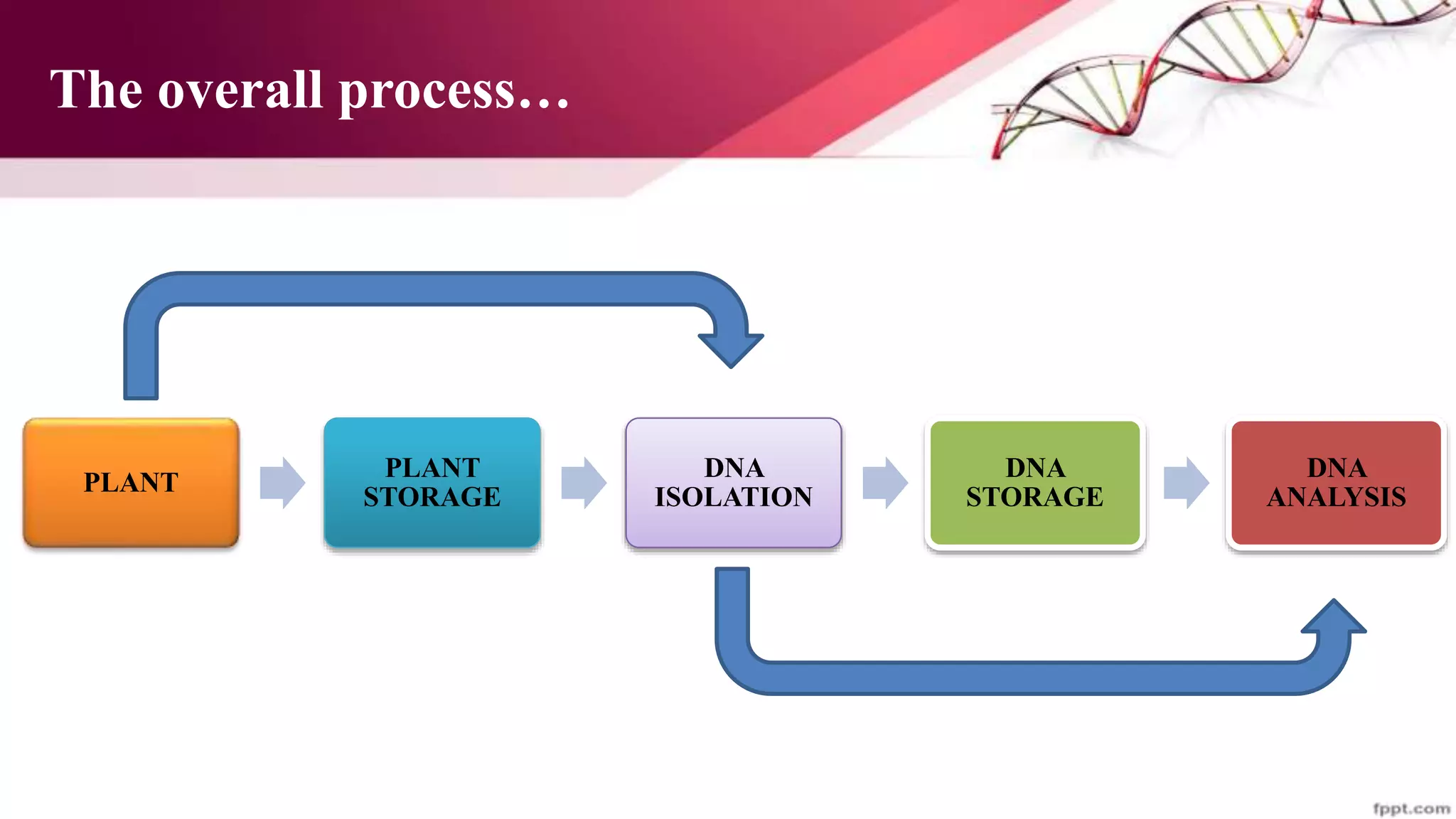Techniques of DNA Extraction, Purification and Quantification | PPTX