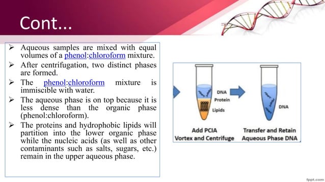 Techniques of DNA Extraction, Purification and Quantification | PPTX ...