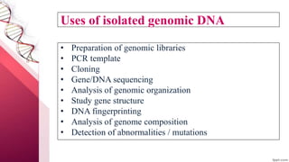 Techniques of DNA Extraction, Purification and Quantification | PPTX