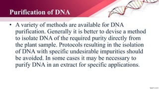 Techniques of DNA Extraction, Purification and Quantification | PPTX
