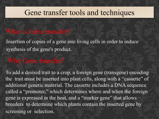 GENE TRANSFER.pptx
