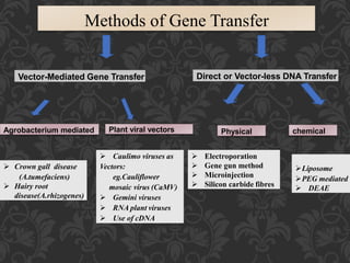 GENE TRANSFER.pptx