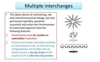 Multiple interchanges | PPTX