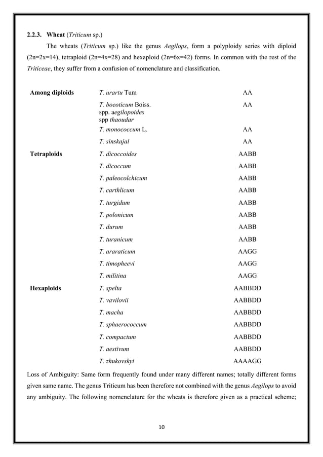 Wheat-Centre of origin, evolution and diploidization | PDF | Gardening ...