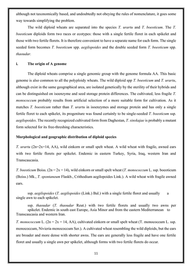 Wheat-Centre of origin, evolution and diploidization | PDF | Gardening ...