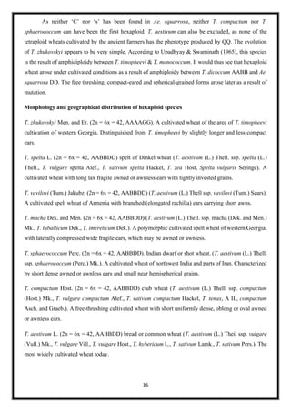 Wheat-Centre of origin, evolution and diploidization | PDF | Gardening ...