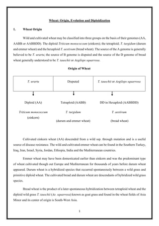 Wheat-Centre of origin, evolution and diploidization | PDF