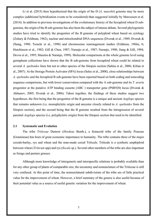 Wheat-Centre of origin, evolution and diploidization | PDF | Gardening ...