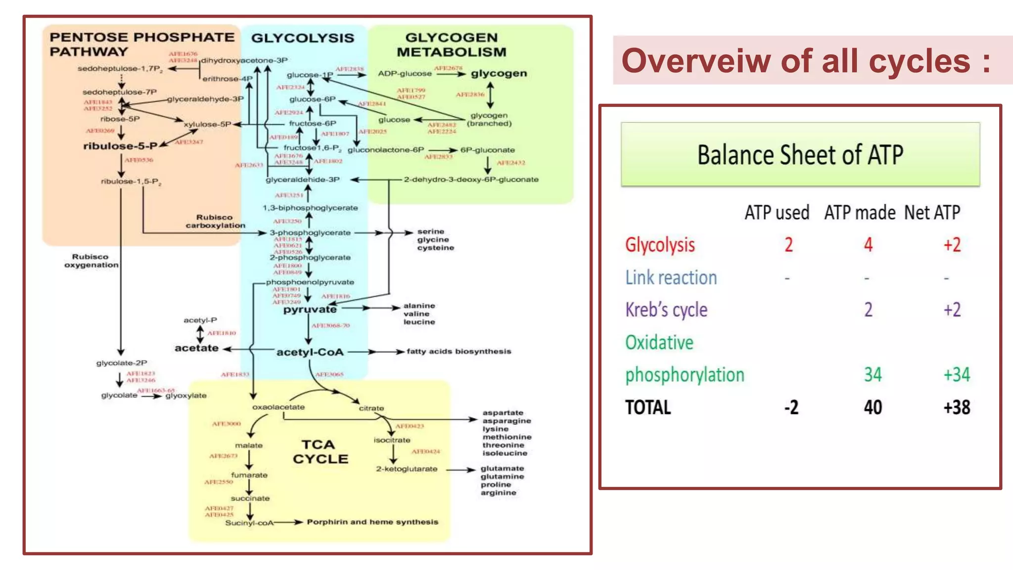 GPAT : chemistry and cology trick,mnemonics. | PPT
