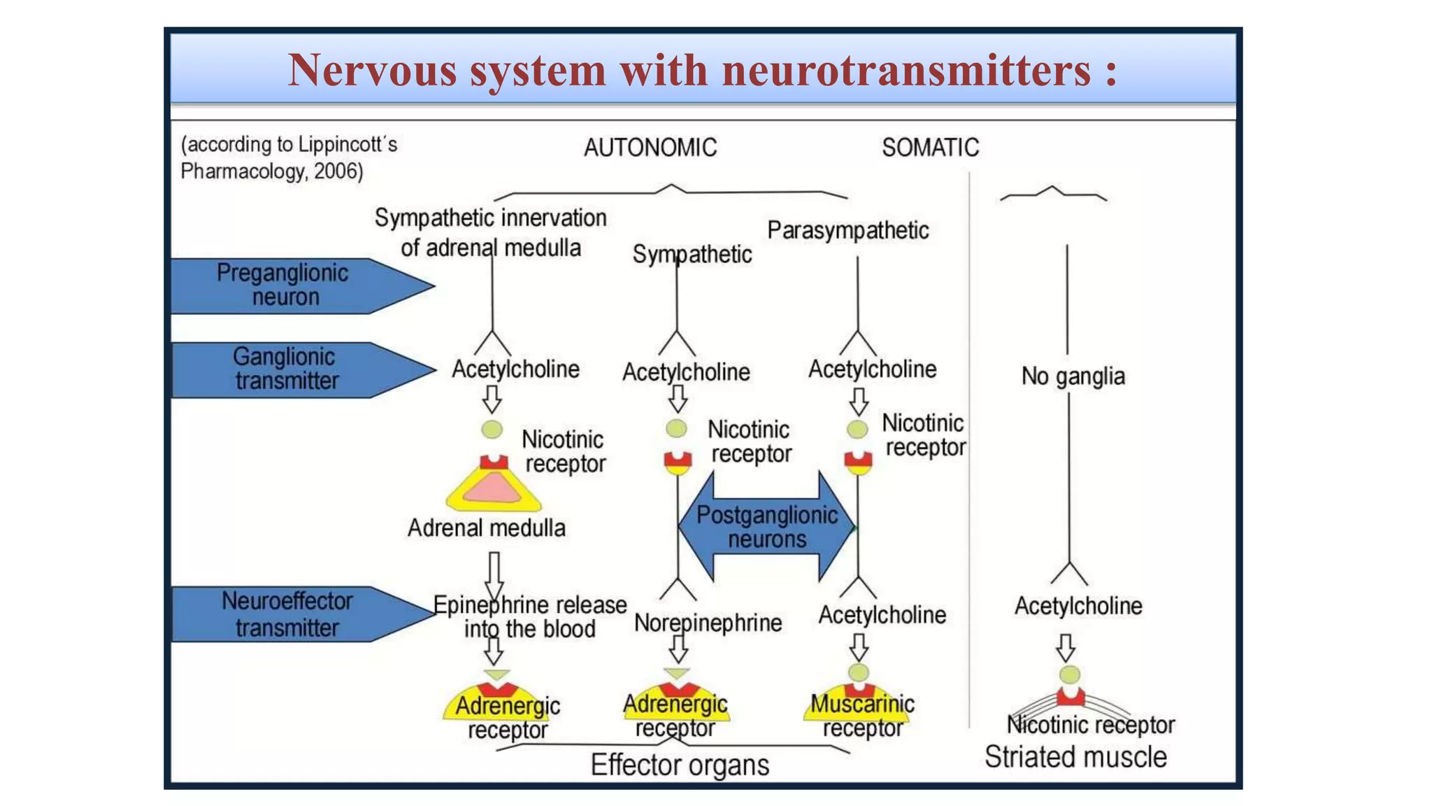 GPAT : chemistry and cology trick,mnemonics. | PPT