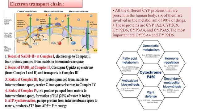 GPAT : chemistry and cology trick,mnemonics. | PPT