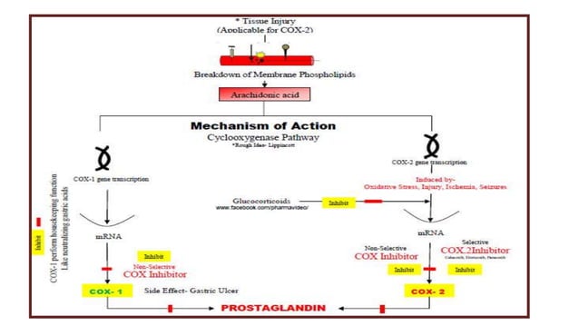 GPAT : chemistry and cology trick,mnemonics. | PPT