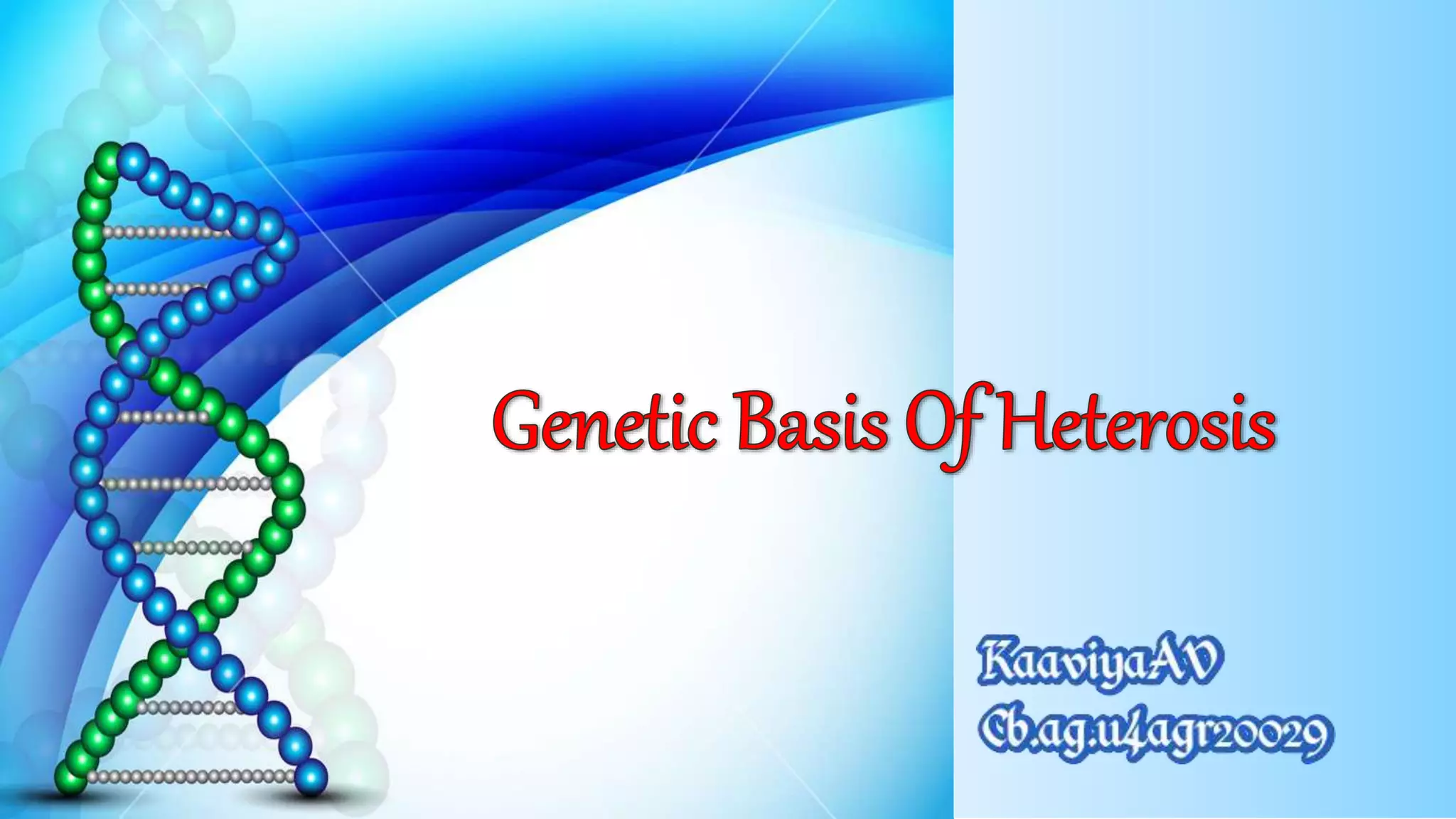 Genetic Basics of heterosis | PPTX