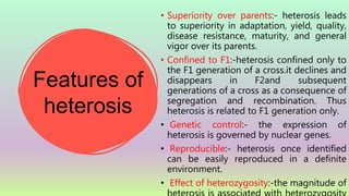 Genetic Basics of heterosis | PPTX