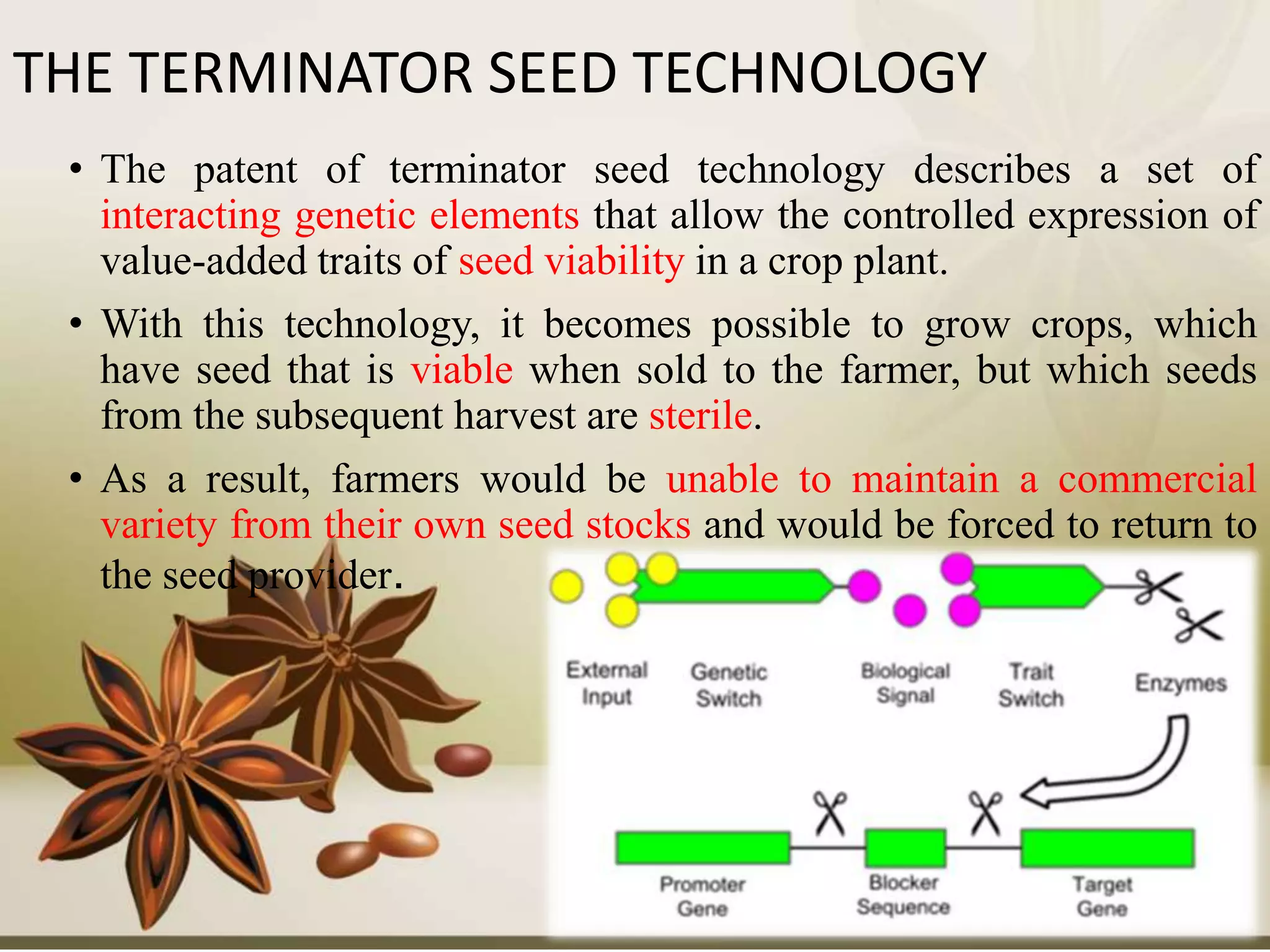 Terminator Seed Technology.pptx