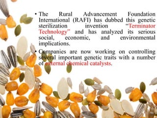 Terminator Seed Technology.pptx