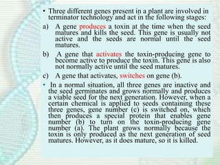 Terminator Seed Technology.pptx