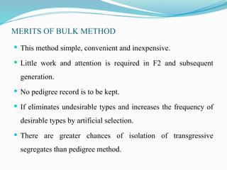 bulk method of breeding handling of segregation | PPT
